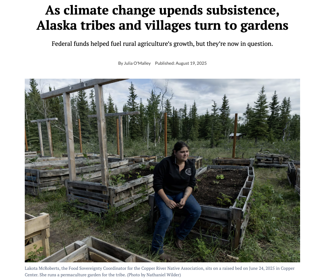 For ADN: As climate change upends subsistence, Alaska tribes and ...
